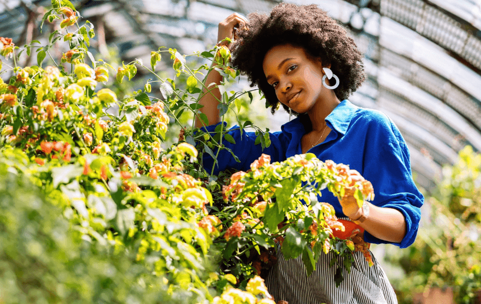 IHESA – Educational Training Model